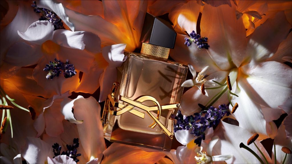 YSL恣意燃花耀眼自由 D&G摯愛極致療癒多元 – 潮流誌 InTrend Log